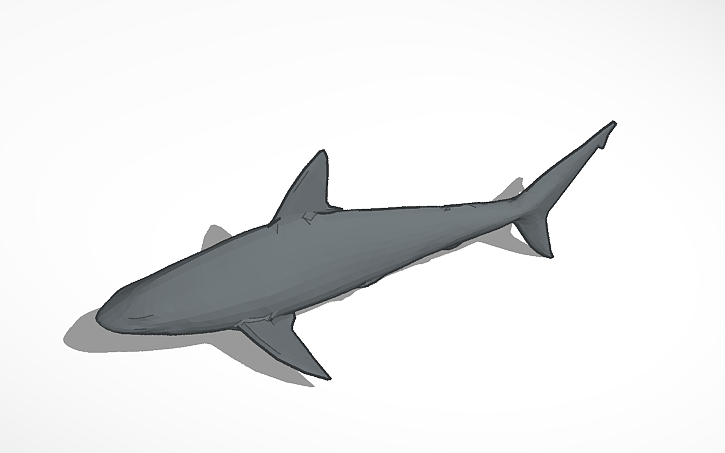 3D design Copy of Shark - Tinkercad