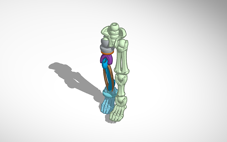 3D design Prosthetic leg design - Saifan, Sahana and Sahithi - Tinkercad