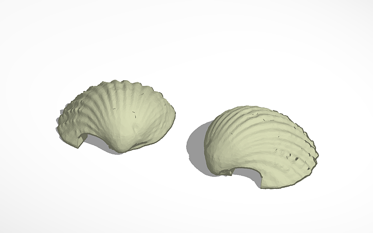 3D design Seashell Jacuzzi Jet Cap - Tinkercad