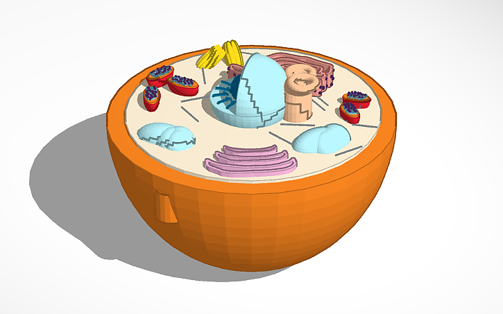 3D design Animal Cell - Tinkercad