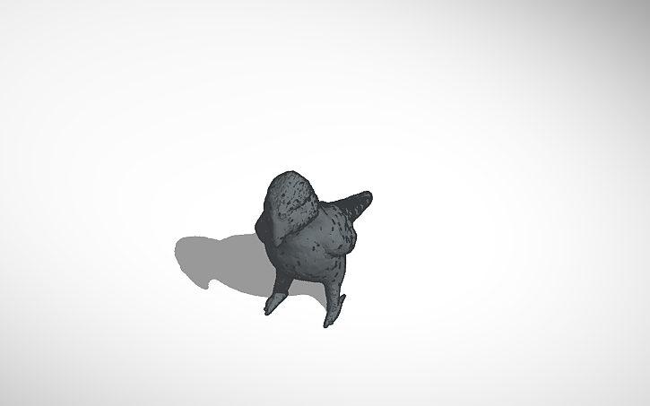 3D design parrot - Tinkercad