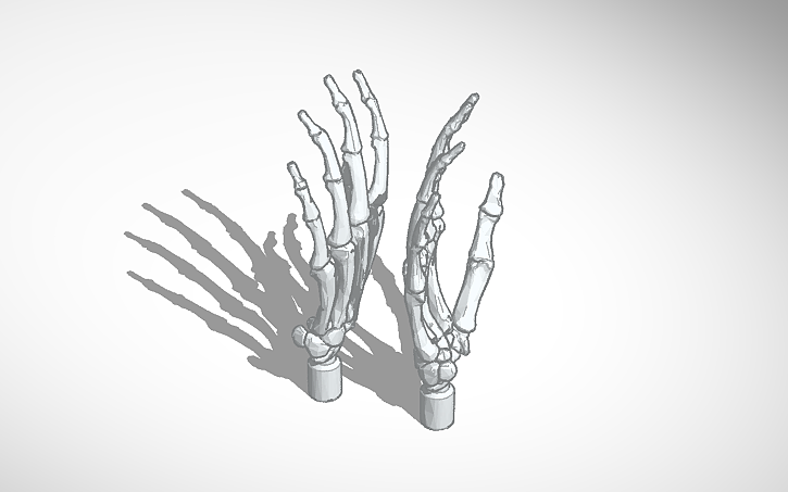 3D design skeleton hands - Tinkercad