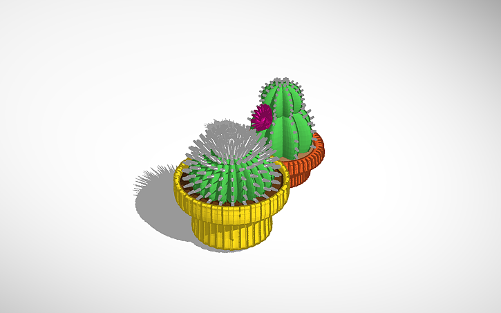 3d Design Cactus Tinkercad