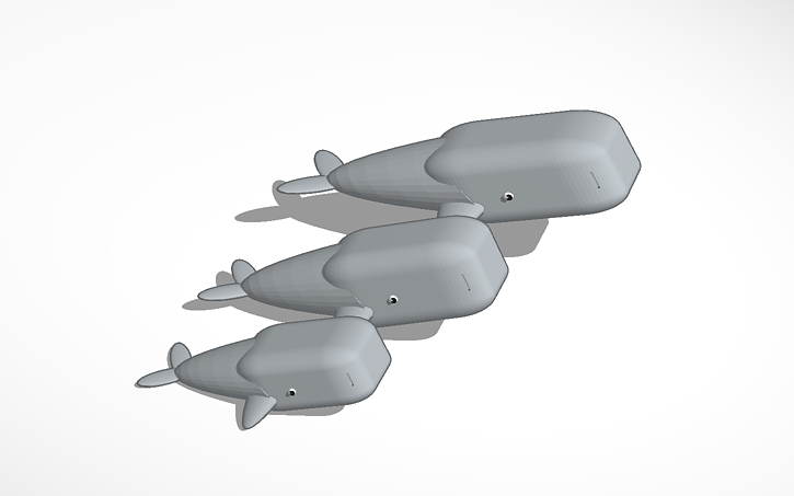 3D design whale - Tinkercad