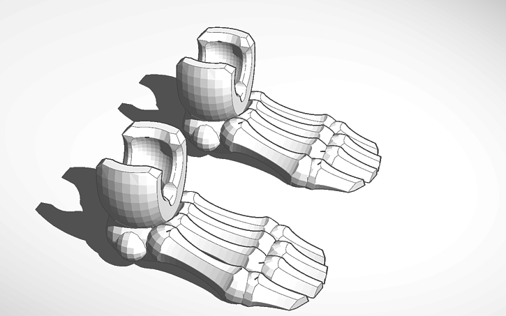 3D design Skeleton Feet - Tinkercad