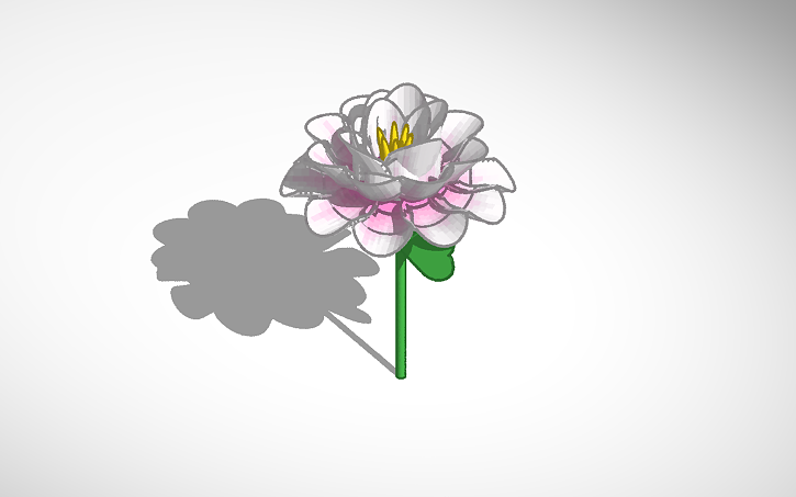 3D design flower - Tinkercad