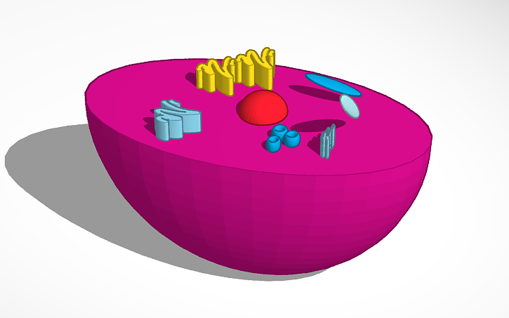 3D design cell diagram - Tinkercad
