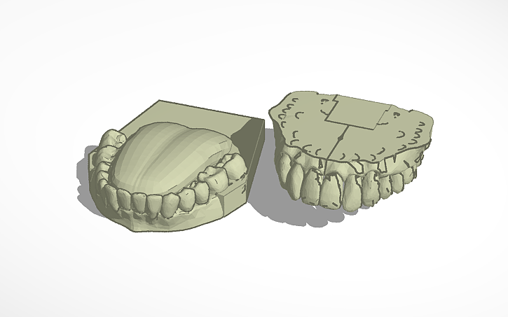 3D design dentadura - Tinkercad