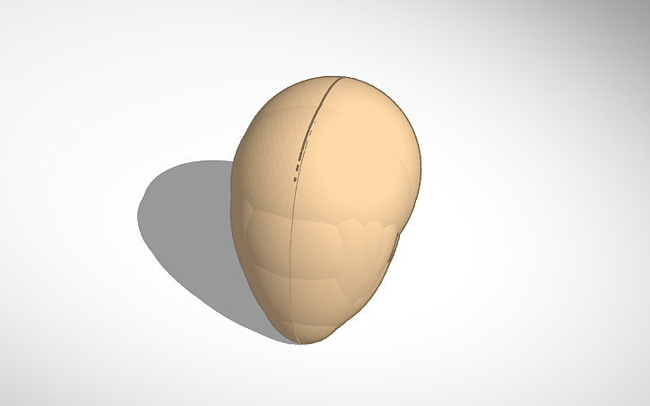 3D design HUMAN HEAD - Tinkercad