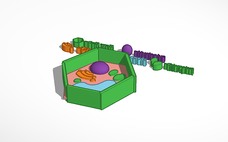 3D design Cell Project - Tinkercad