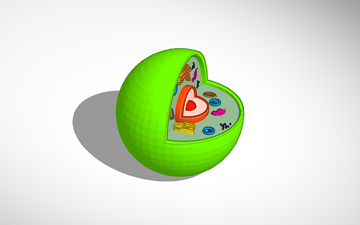 3D design ANIMAL CELL - Tinkercad