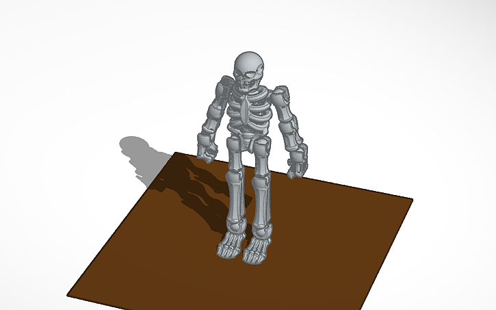 3D design project: Human skeleton | Tinkercad