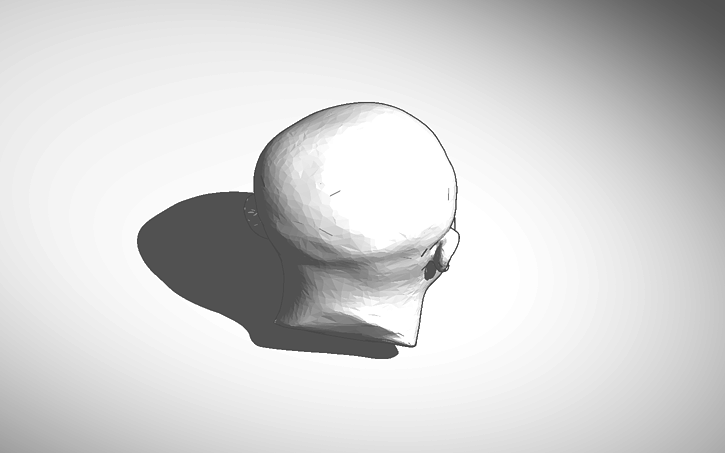 3D design Head - Tinkercad