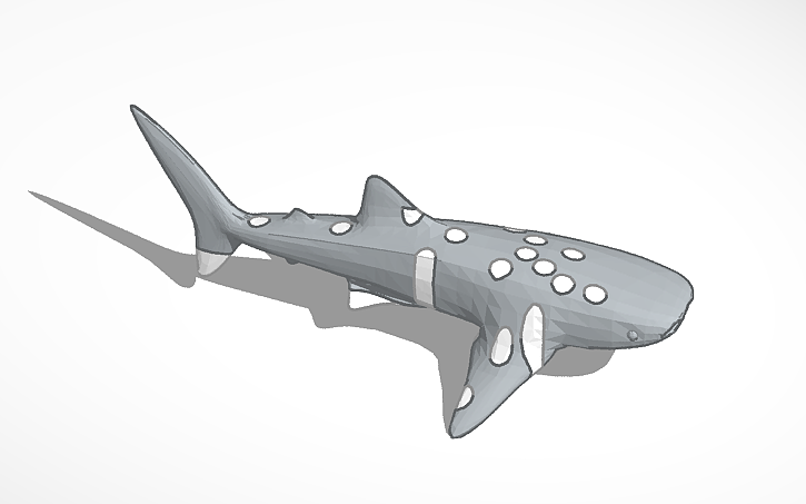 3D design whale shark - Tinkercad