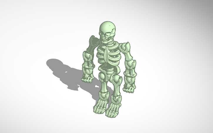 3D design Skeleton - Tinkercad