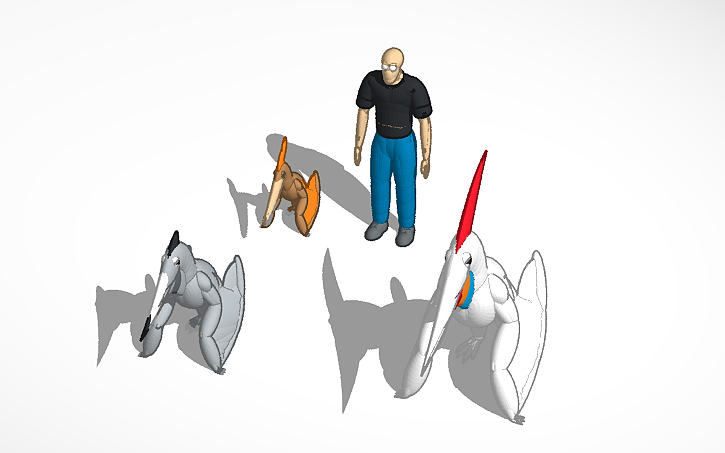 3D design Pteranodon Longiceps M/F + Ludodactylus | Tinkercad