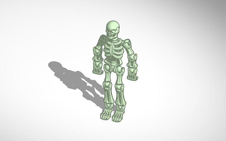 3D design human skeleton | Tinkercad