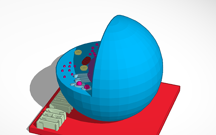 3D design Animal Cell- Alex | Tinkercad