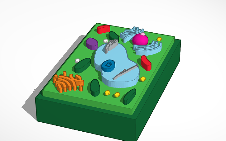 3D design Modelos educativos | Tinkercad