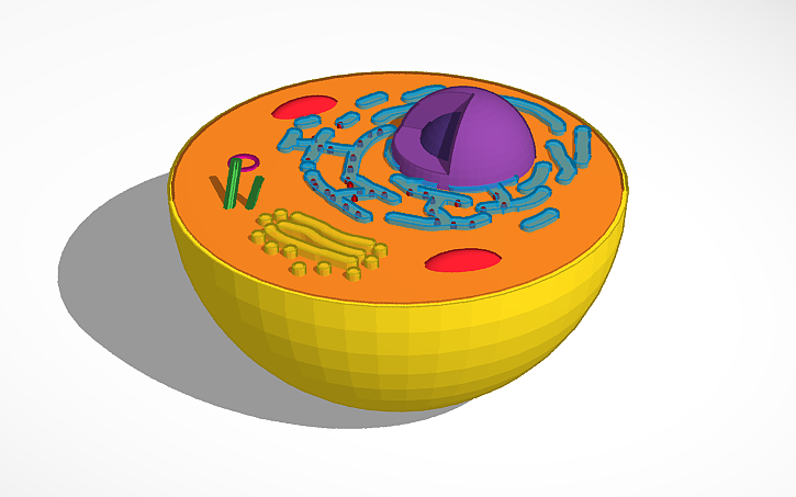 3D design cell - Tinkercad