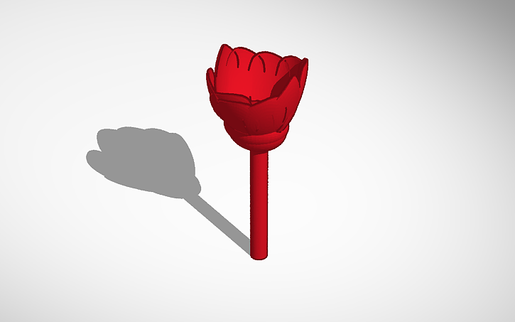 3D design Rose - Tinkercad