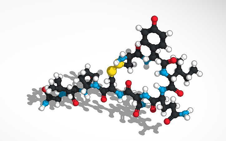 3D design Oxytocin - Tinkercad