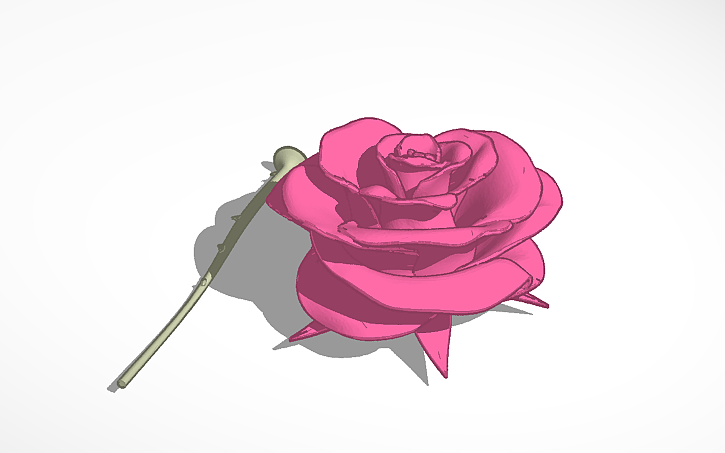 3D design Rose bud - Tinkercad