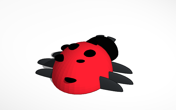3D design insect laybug - Tinkercad