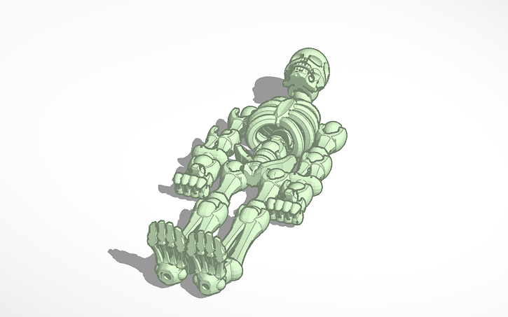 3D design Human - Tinkercad