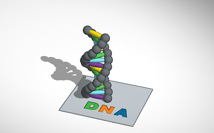 3D design DNA - Tinkercad