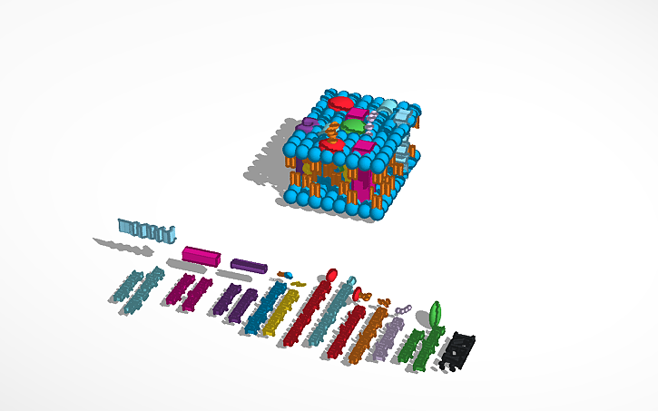 3D design Cell Membrane Project - Tinkercad