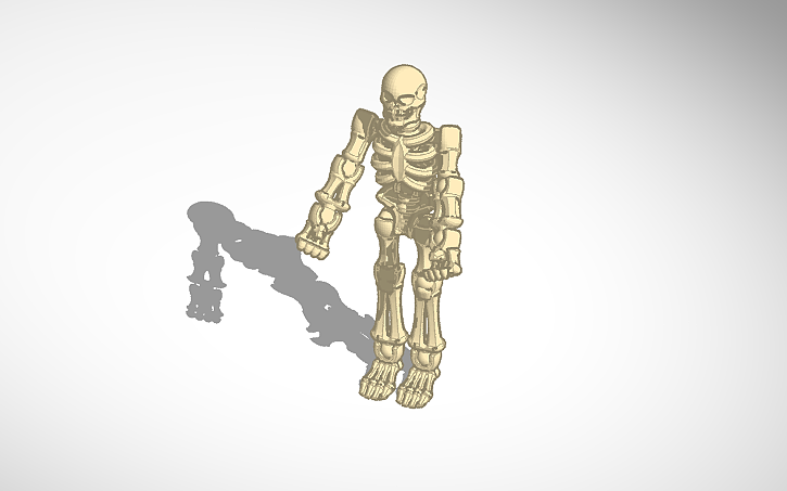 3D design Esqueleto - Skeleton | Tinkercad