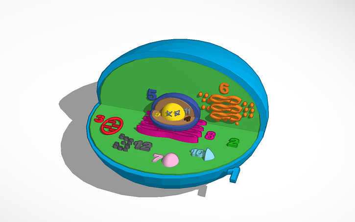 3D design animal cell - Tinkercad