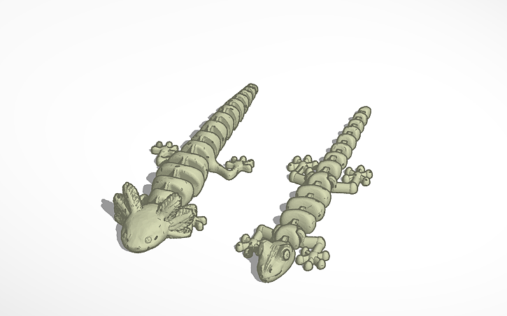 3D design Greenvale Axolotl and gecko lizard - Tinkercad
