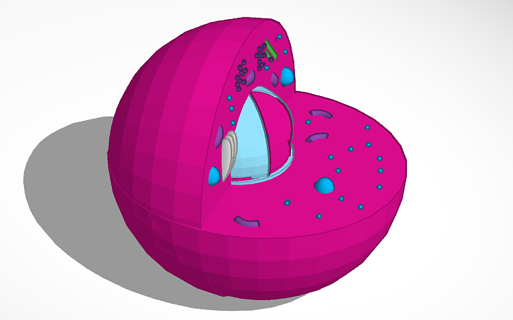 3D design 3D Model | Tinkercad