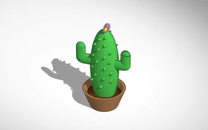 3d Design Cactus Tinkercad