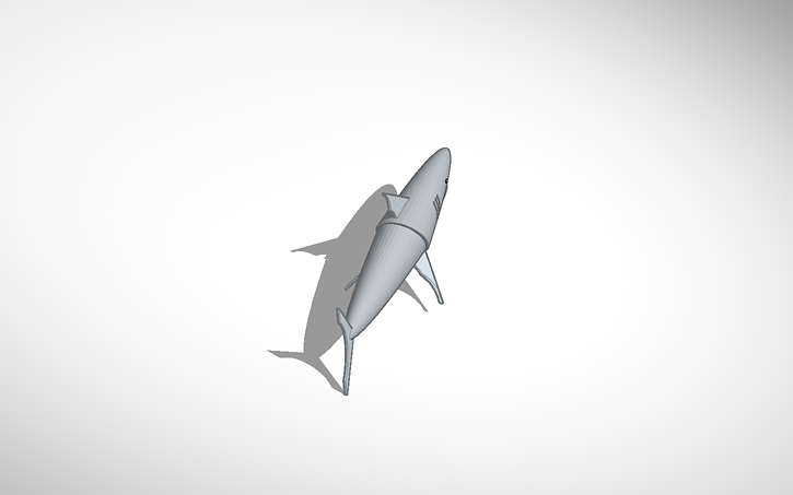 3D design Shark - Tinkercad