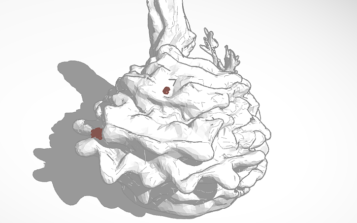 3D design Coral Reef - Tinkercad