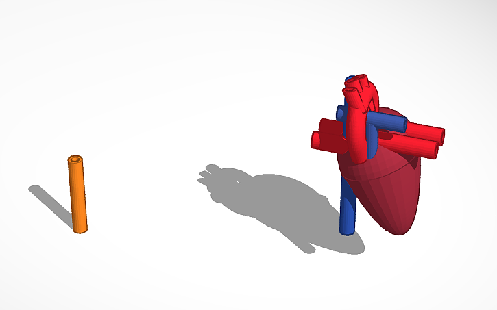 3D design Heart - Tinkercad
