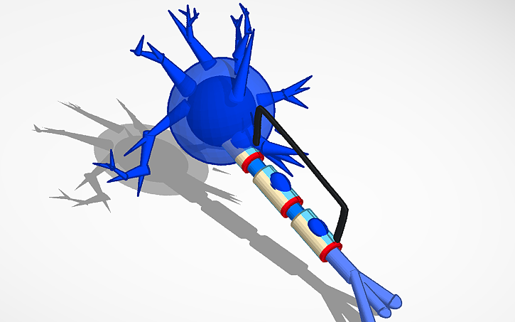 3D design The Neuron - Tinkercad
