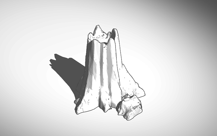 3D design trunk | Tinkercad