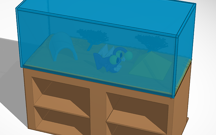 3D design akvaryum | Tinkercad