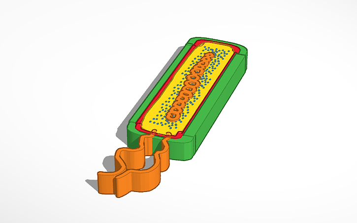 3D design Prokaryotic Cell - Tinkercad