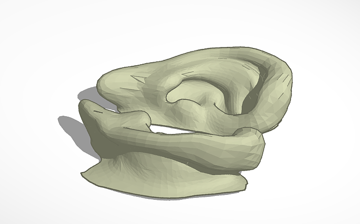 3D design Frankenstein Ear Pair | Tinkercad