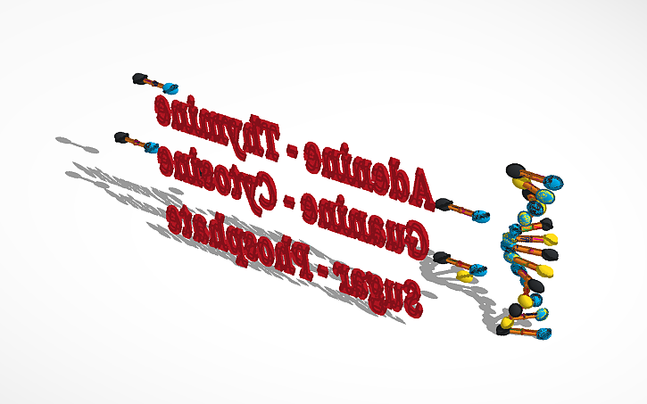 3D design DNA Model | Tinkercad