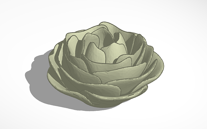 3D design rose - Tinkercad