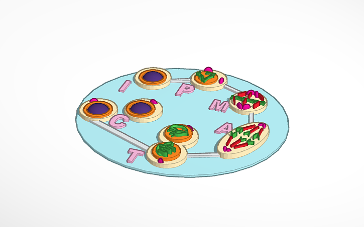 3D design MITOSIS - Tinkercad