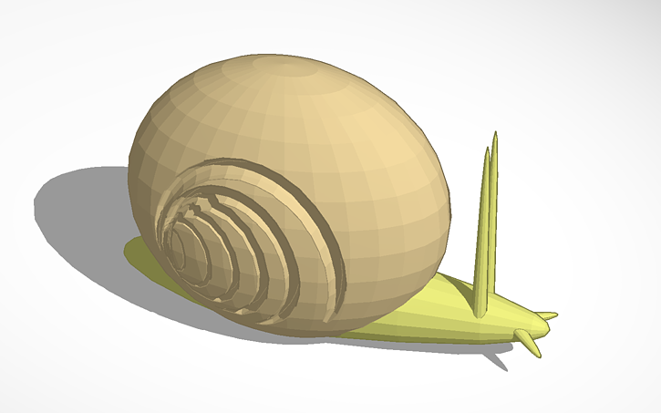 3D design Snail - Tinkercad