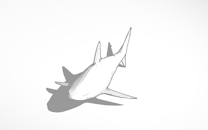 3D design Shark - Tinkercad
