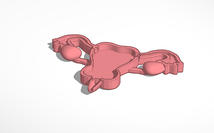 3D design Uterus - Tinkercad